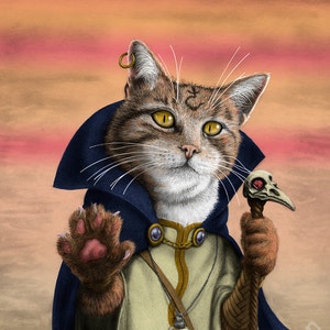 Fantasy Cat Hero - Sorcerer Cat - Etsy