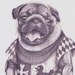 Pug Knight Dog in 14th Century Armor - Etsy Canada