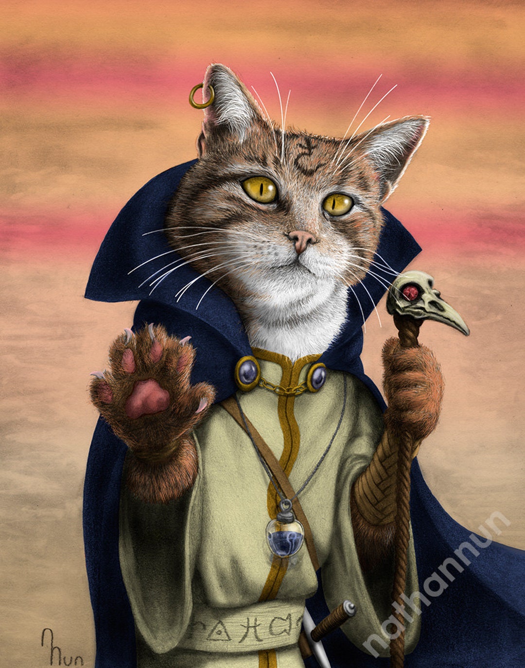 Fantasy Cat Hero - Sorcerer Cat - Etsy