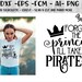 Pirate SVG - Png - Dxf - Eps - Fcm - Ai - Cut File - Silhouette ...