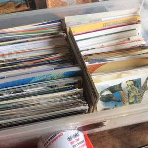 Postcrossing Variety Pack of 40 Postcards Mixed Cards Unused, Empty ...