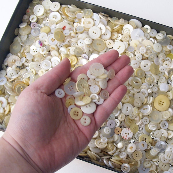 White Buttons - Etsy