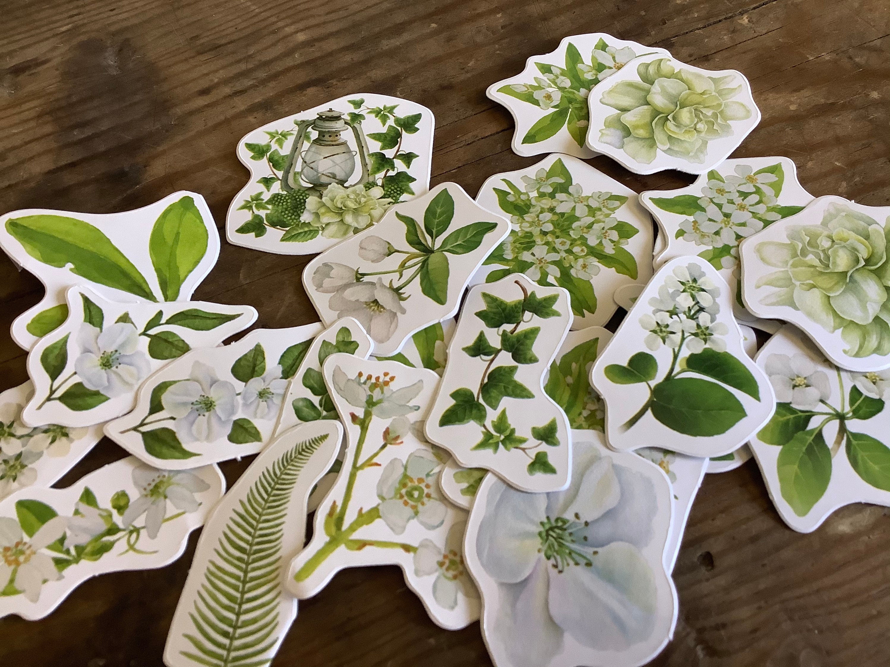 Paper Labels pack 20 flakes Green leaf stickers leaves flowers buds ...