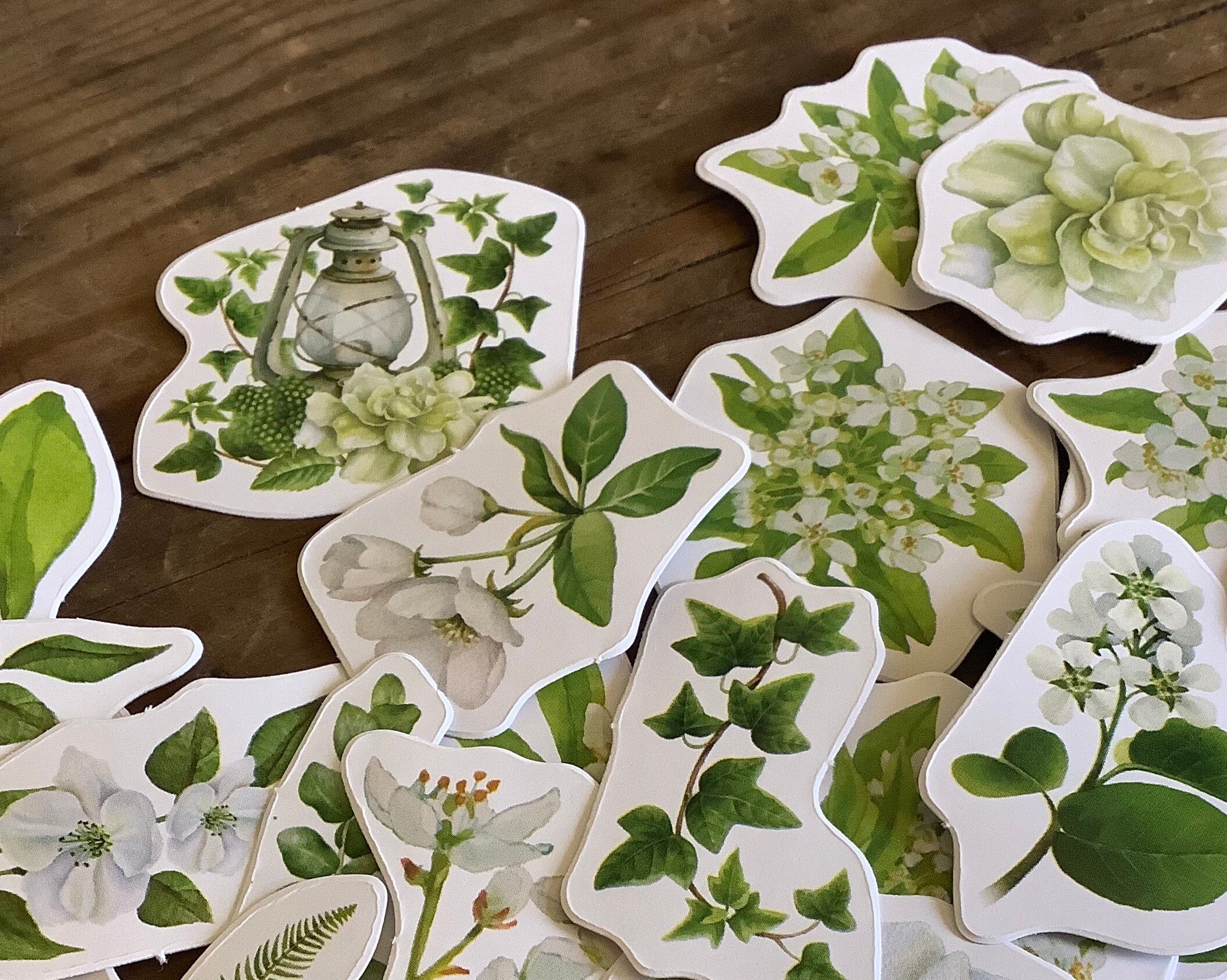 Paper Labels pack 20 flakes Green leaf stickers leaves flowers buds ...