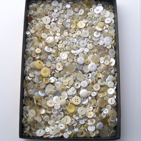 Snow White Buttons - Etsy