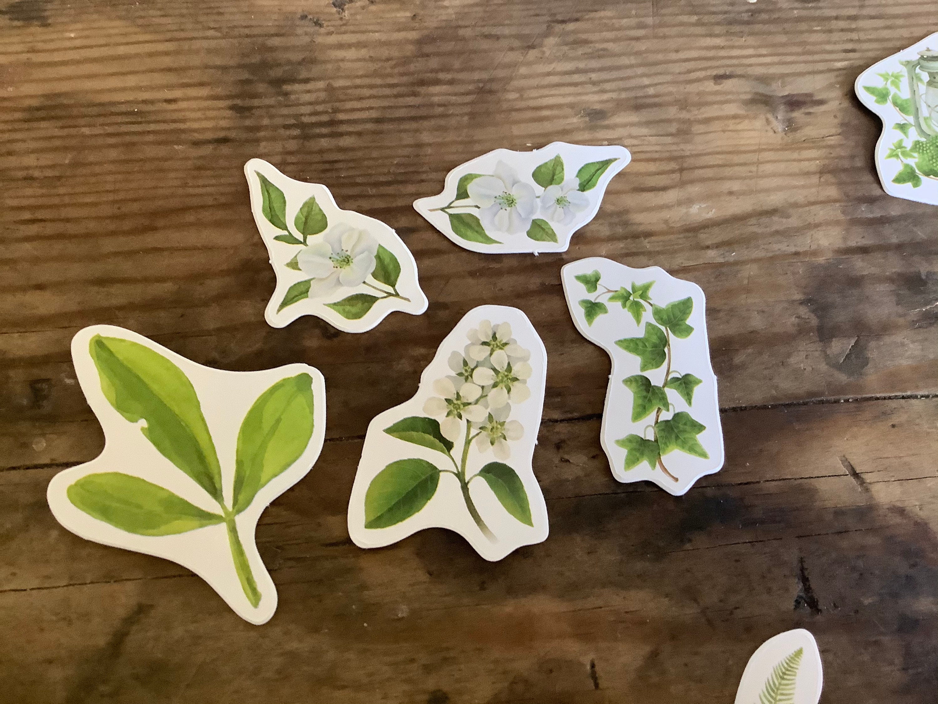 Paper Labels pack 20 flakes Green leaf stickers leaves flowers buds ...