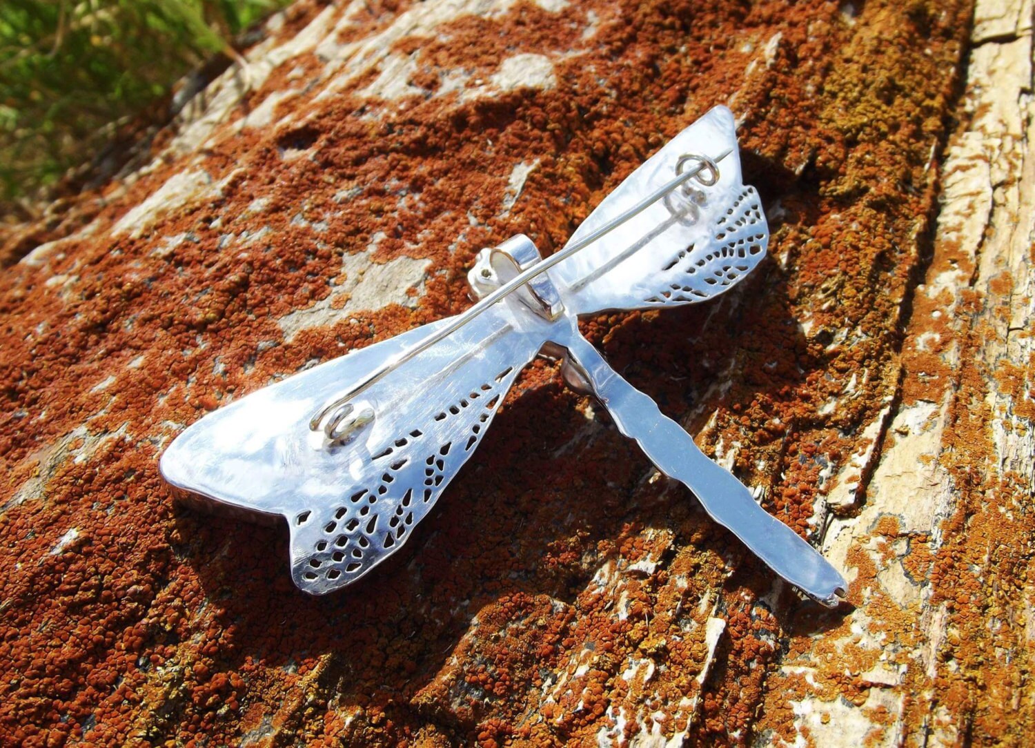 Sterling Silver Dragonfly Brooch/Pendant with Petrified Dinosaur Bone ...