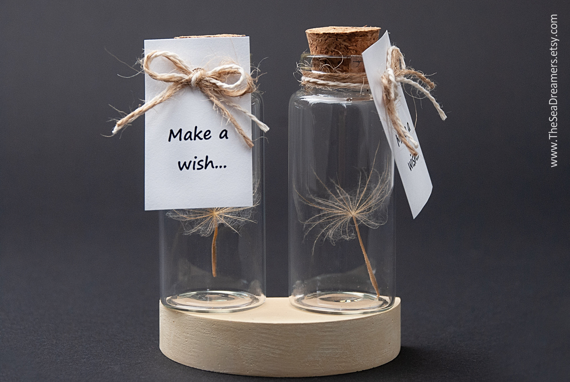 Make a Wish Dandelion Wish in a Bottle Botanical Flower | Etsy UK