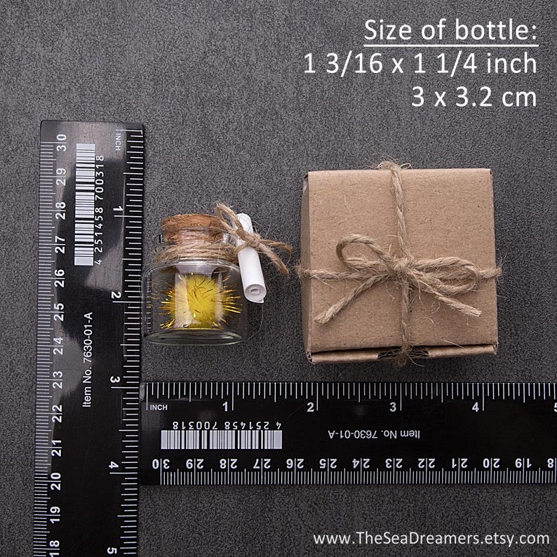You Are My Sunshine Message in a Bottle Gift – Tiny Glass Bottle With ...