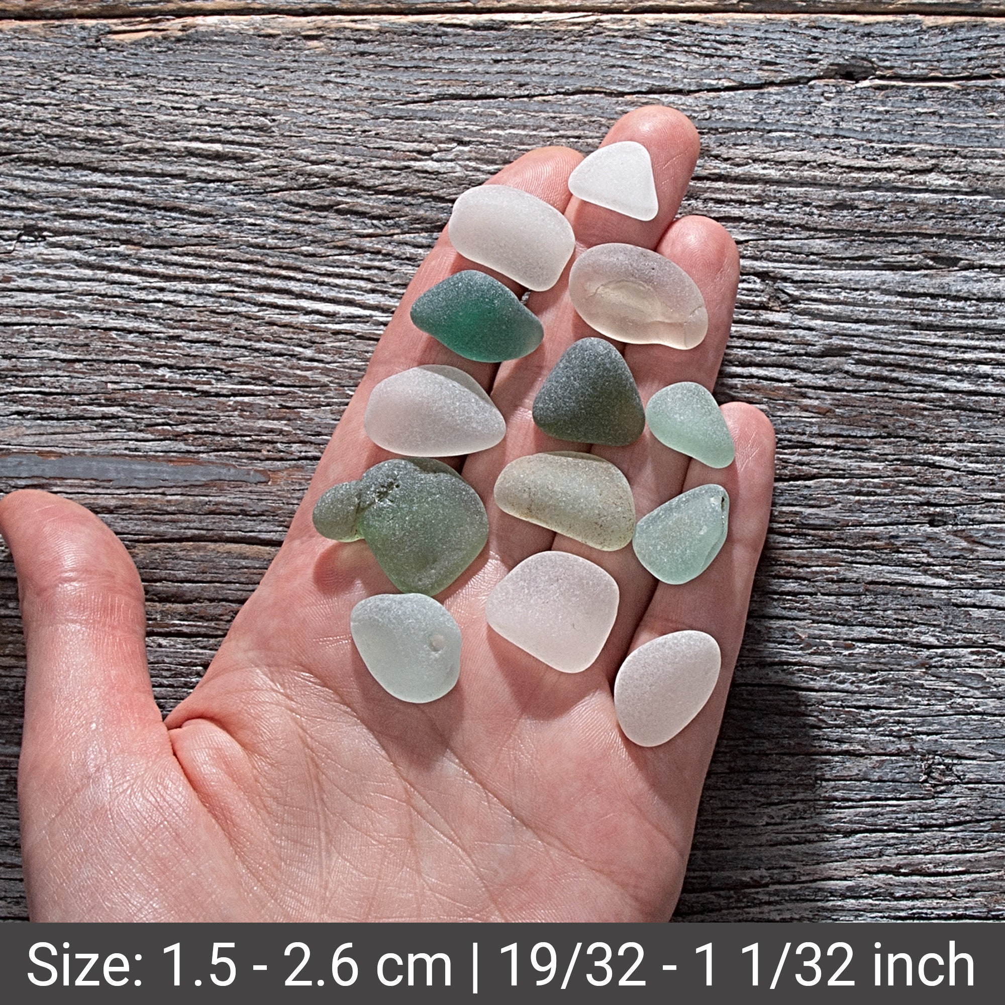 Frosted Beach Glass Finds 13pcs, Bottle Bottom Fragments, Real Sea ...