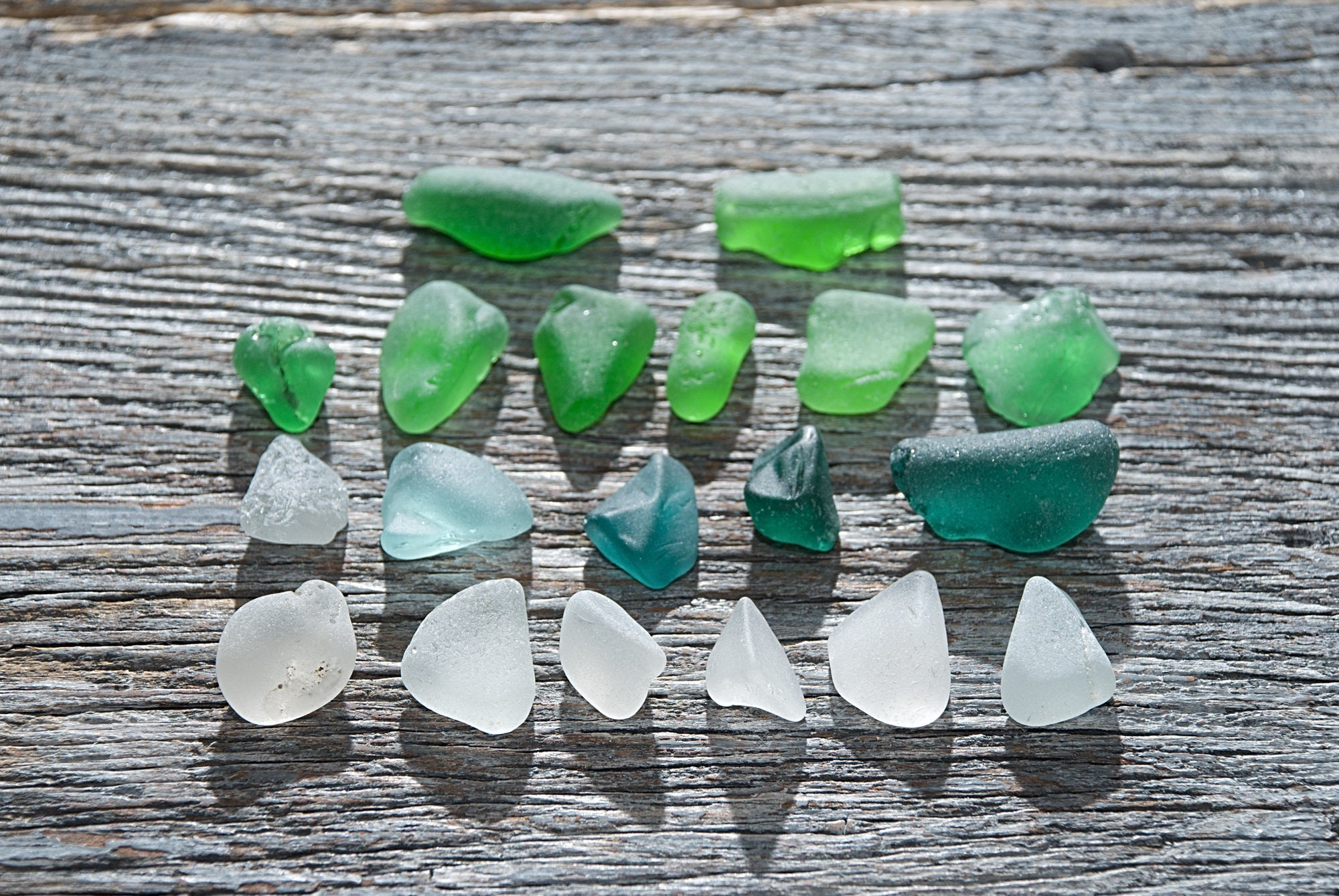 Ring Sized Sea Glass 19pcs Frosted Sea Glass Finds Sea Glass - Etsy
