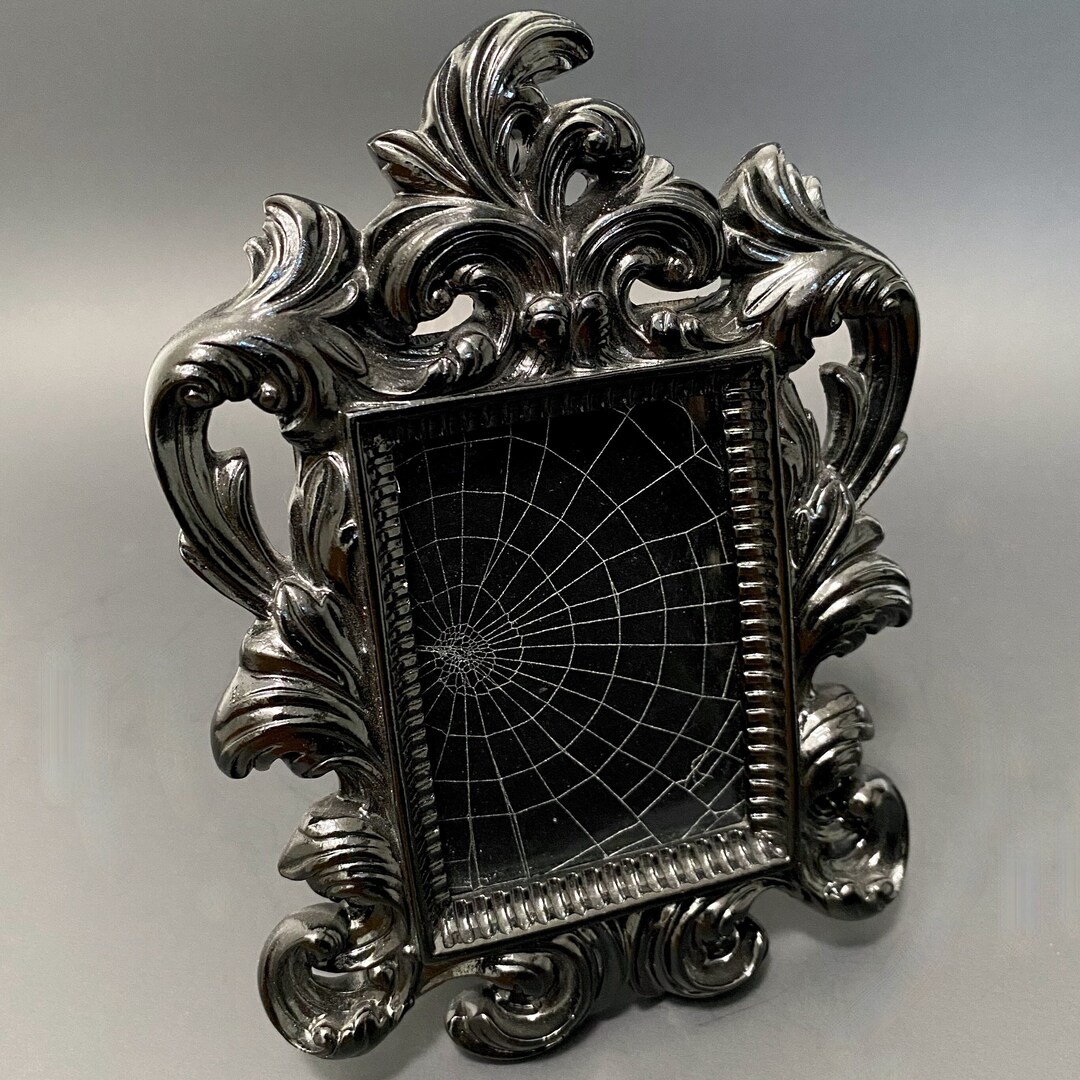 Preserved Spider Web, Spiderweb Taxidermy, Spiral Wed, Gothic Ornate ...