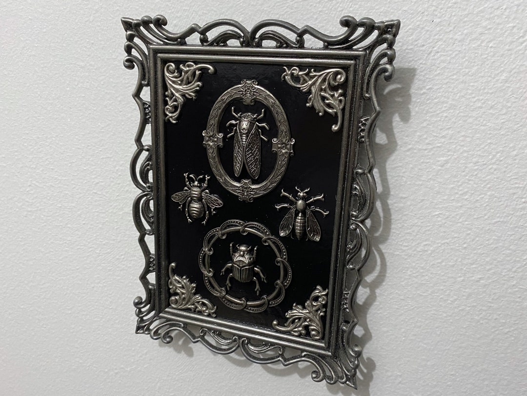 Faux Taxidermy Insect Display, Pinned Beetles, Framed Insects, Insect ...