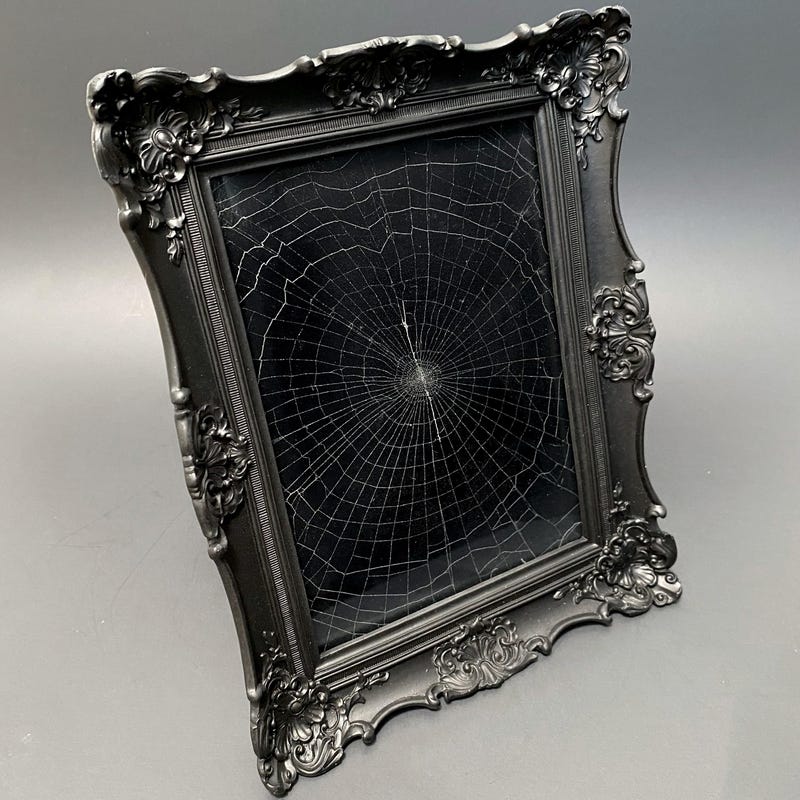 Framed Spider Web - Etsy