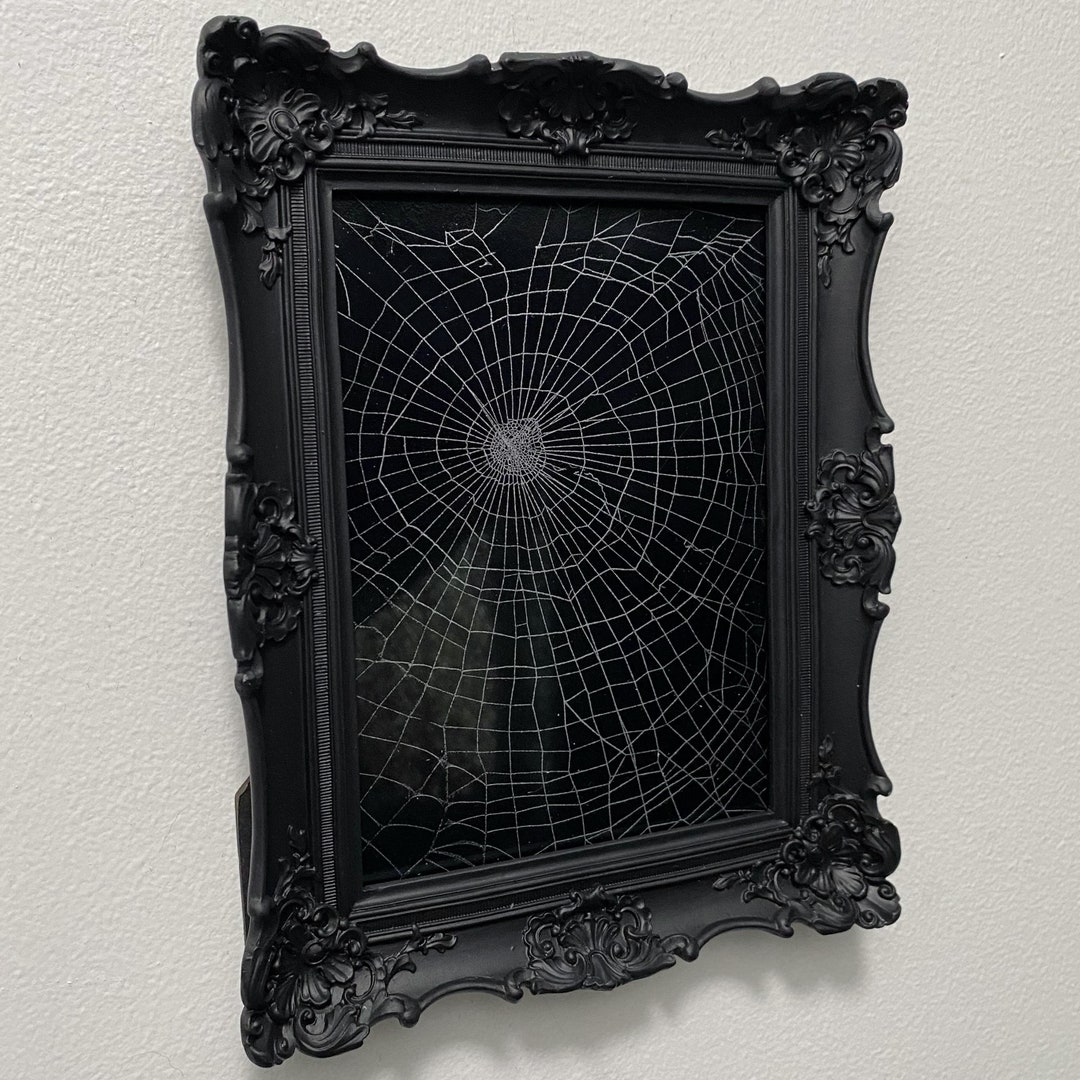 Preserved Spider Web, Spiderweb Taxidermy, Spiral Wed, Gothic Ornate ...