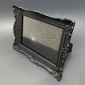 Preserved Spider Web, Spiderweb Taxidermy, Spiral Wed, Gothic Ornate ...