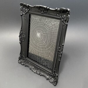 Preserved Spider Web, Spiderweb Taxidermy, Spiral Wed, Gothic Ornate ...