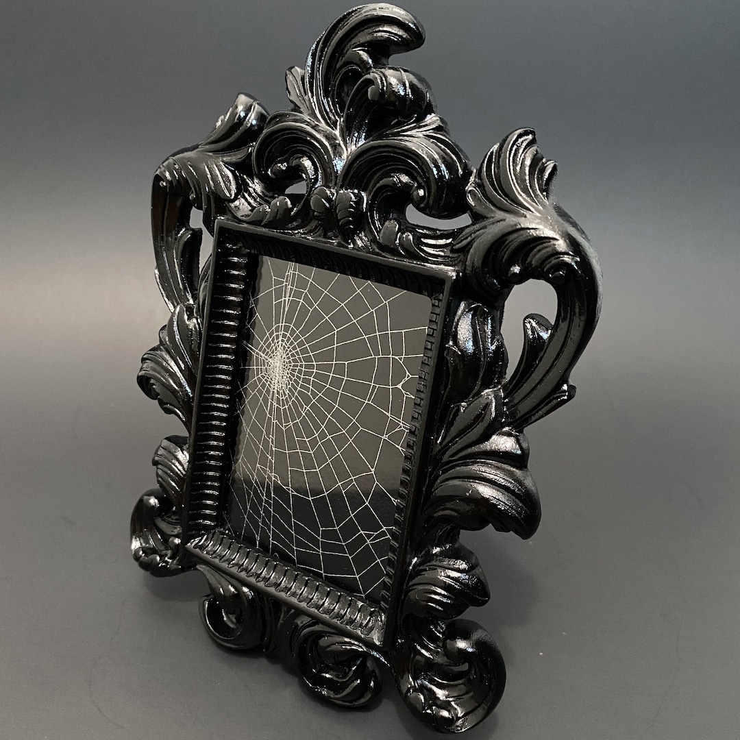 Preserved Spider Web, Spiderweb Taxidermy, Spiral Wed, Gothic Ornate ...