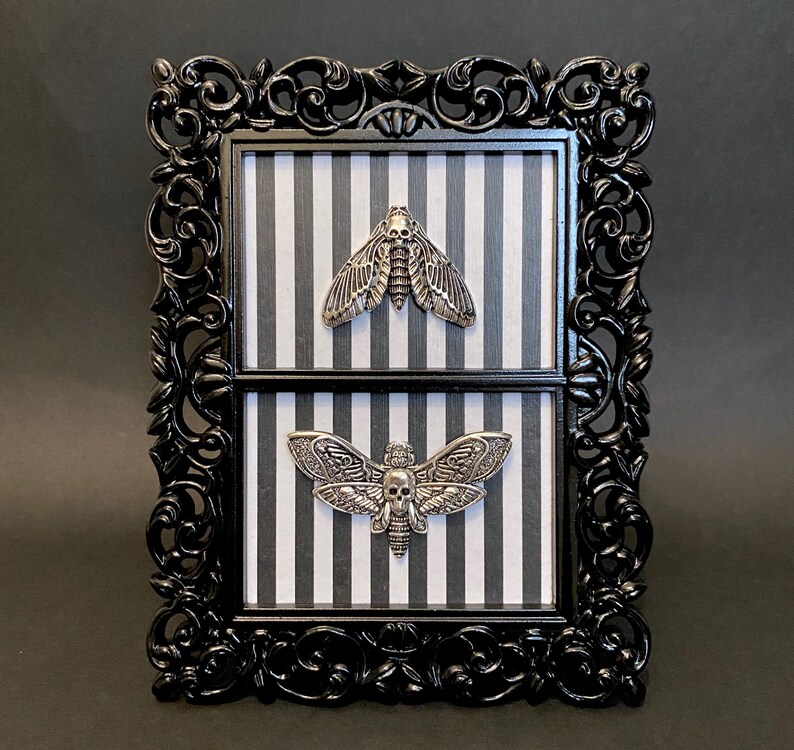 Gothic Framed Death's Head Moth Two Framed Moths Oddity - Etsy