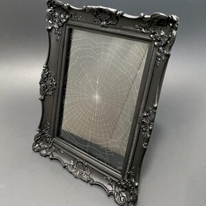 Preserved Spider Web, Spiderweb Taxidermy, Spiral Wed, Gothic Ornate ...