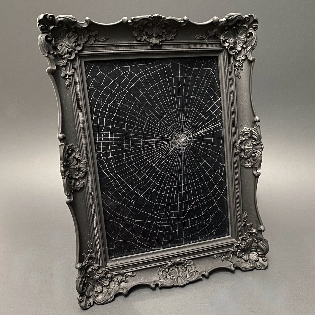 Preserved Spider Web, Spiderweb Taxidermy, Spiral Wed, Gothic Ornate ...