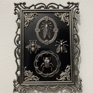 Faux Taxidermy Insect Display, Pinned Beetles, Framed Insects, Insect ...