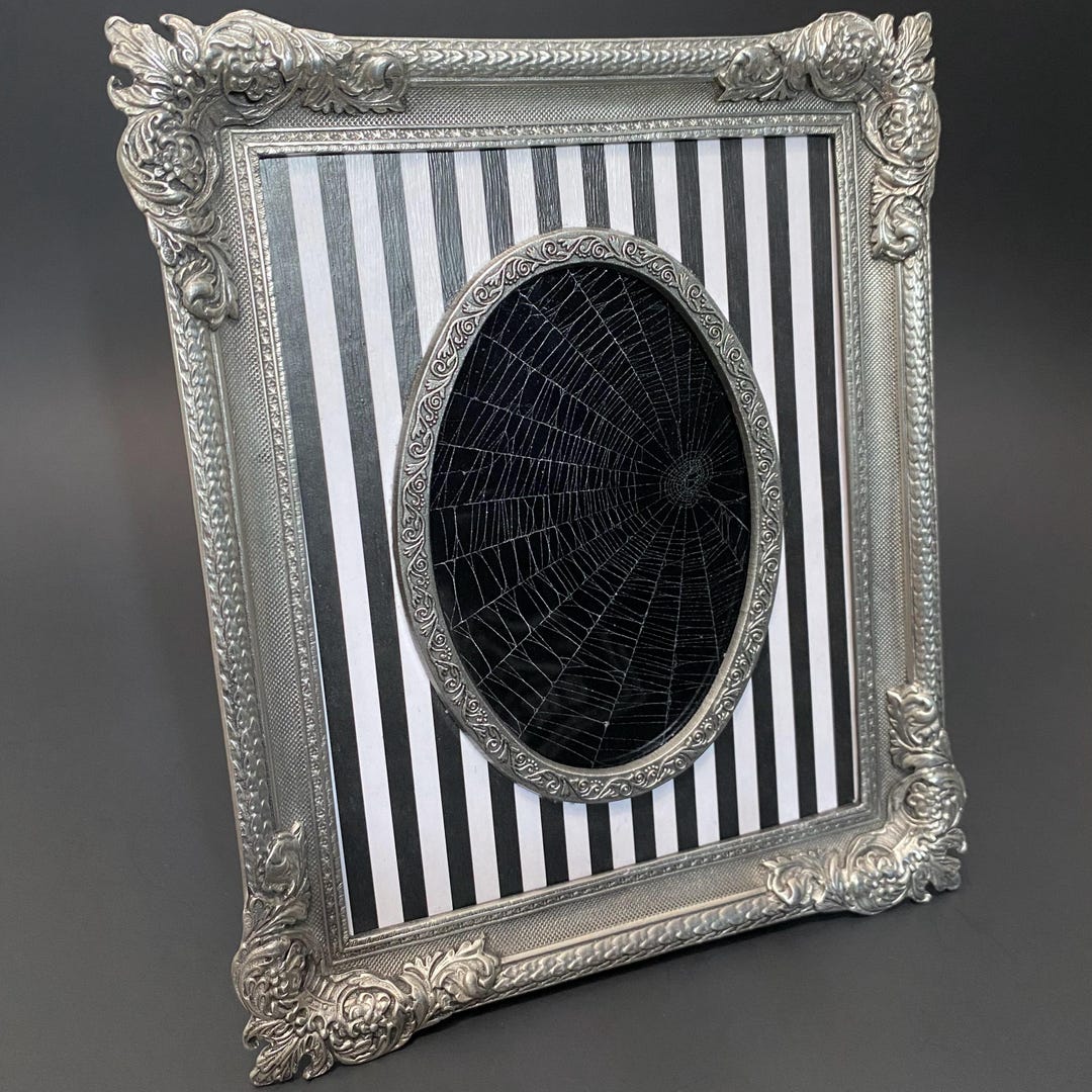 Preserved Spider Web, Spiderweb Taxidermy, Spiral Wed, OOAK Vintage ...
