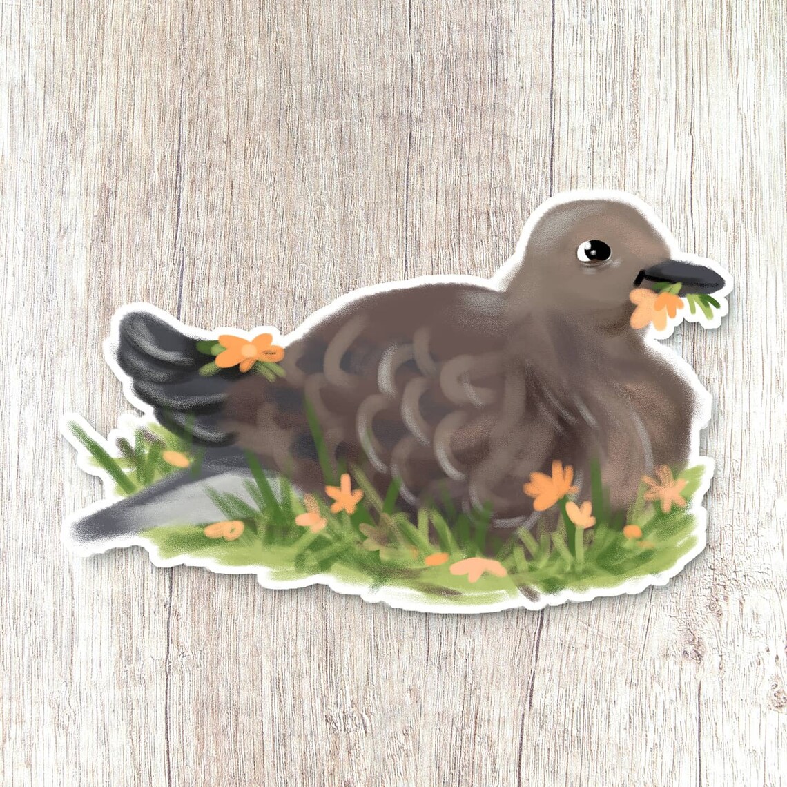 Cute Pigeon Bird Illustration Stickers Pigeon Stickers Bird - Etsy