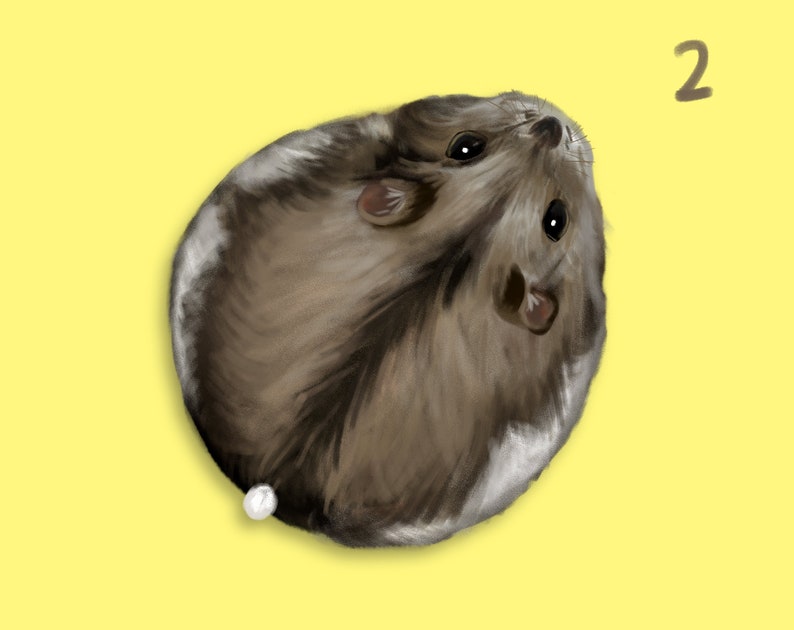 Realistic Hamster Illustration Stickers Cute Waterproof - Etsy