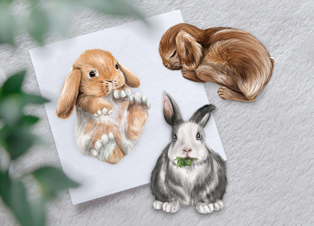 Realistic Rabbit Illustration Stickers, Cute Waterproof Rabbit Stickers ...