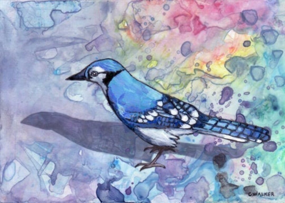 Blue Jay Print Bird Watercolour Painting, Blue Jay Art, Watercolour ...