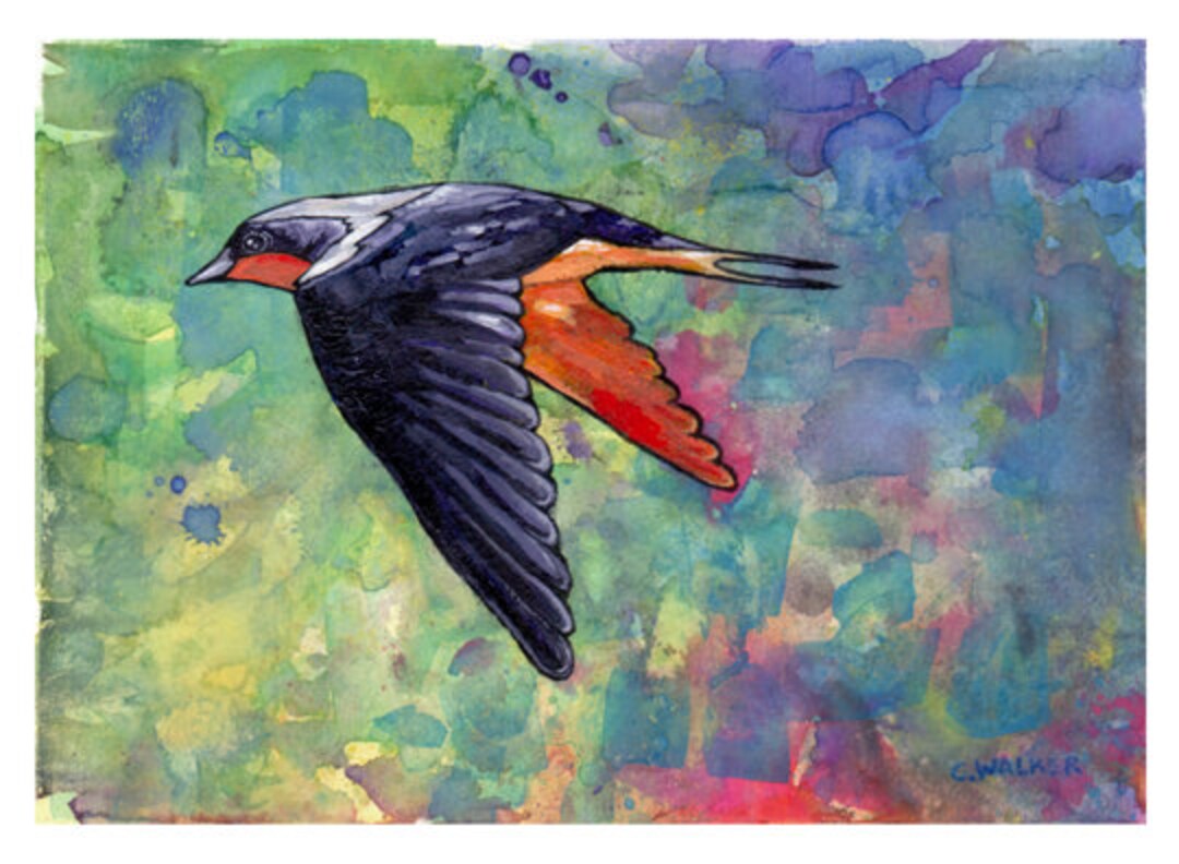 Barn Swallow Print, Swallow Painting, Original Watercolour, Bird Wall ...