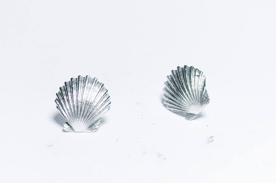 Mini Sea Shell Studs - Etsy