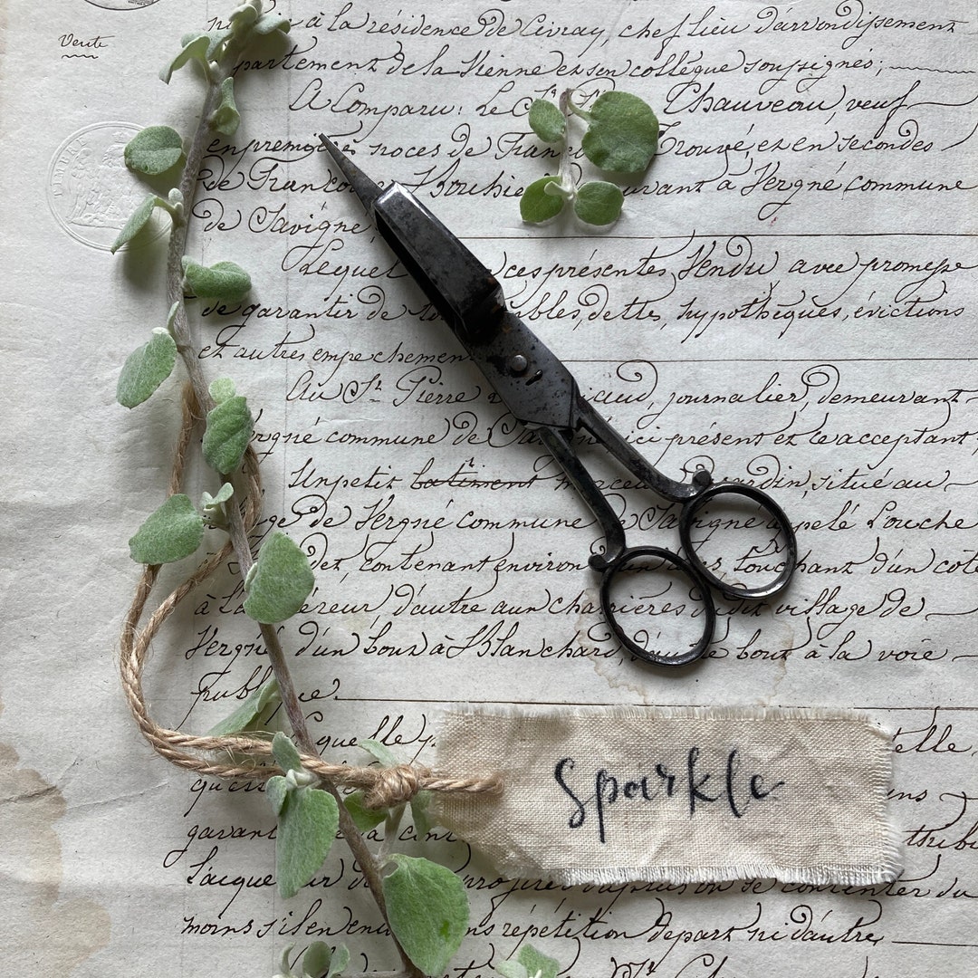 Vintage Candle Snuffers, Antique Snuffers, Vintage Wick Cutters, Small ...
