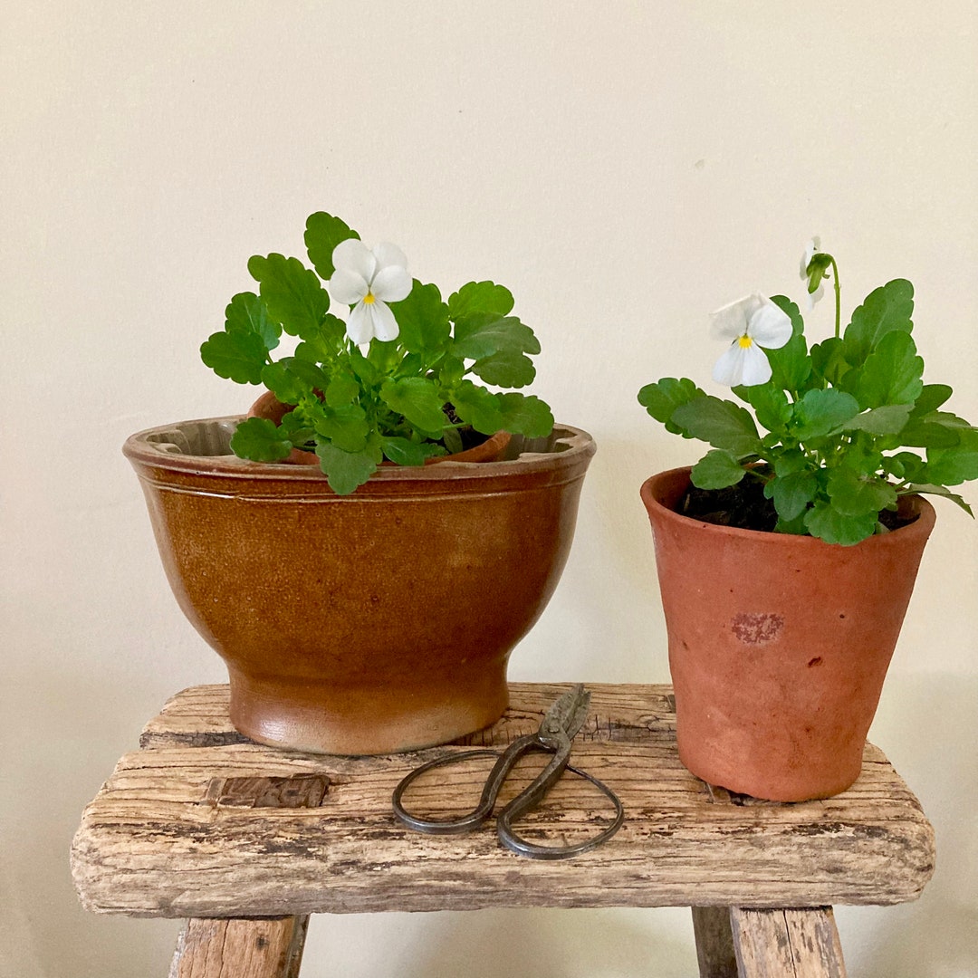 Antique Victorian Jelly Mould Aspic Mould Vintage - Etsy