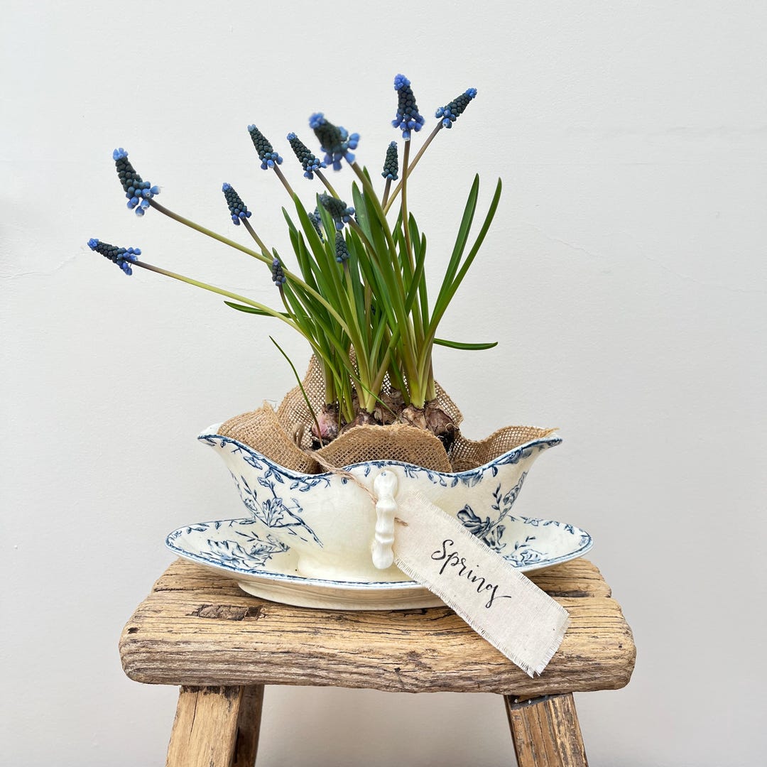Antique French Saucier, Vintage Sauce/gravy Boat, Blue & White Sauce ...