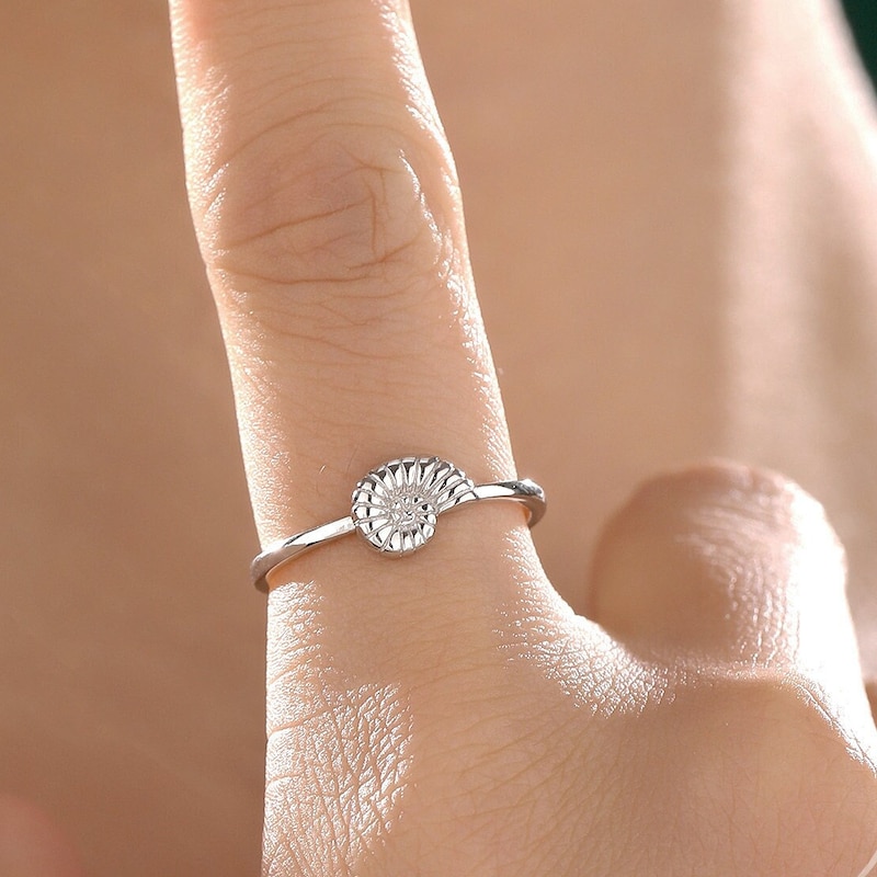 Ammonite Shell - Etsy