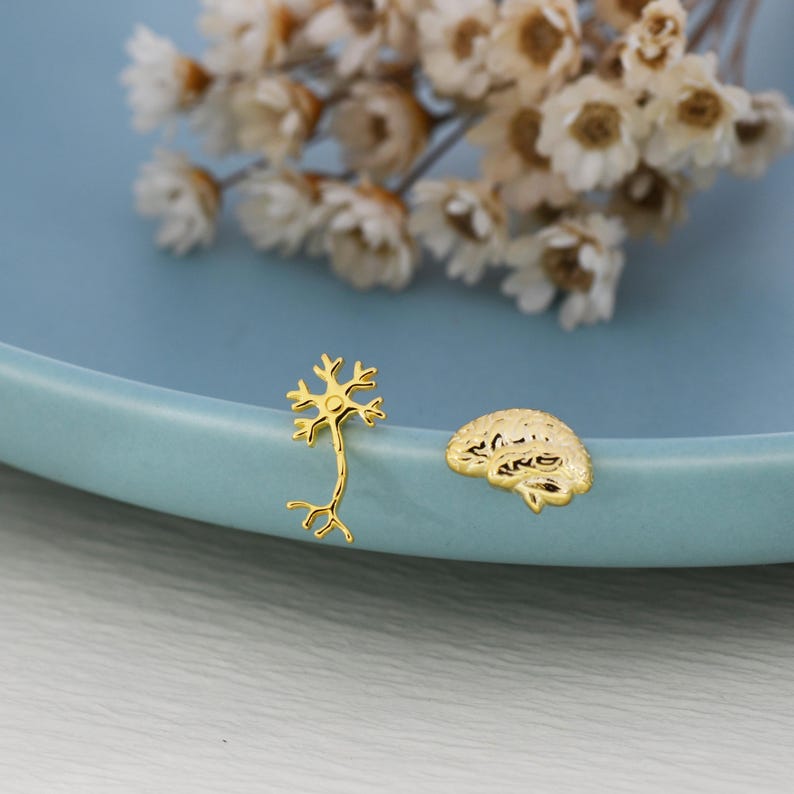Mismatched Anatomical Brain and Neurone Stud Earrings in Sterling ...