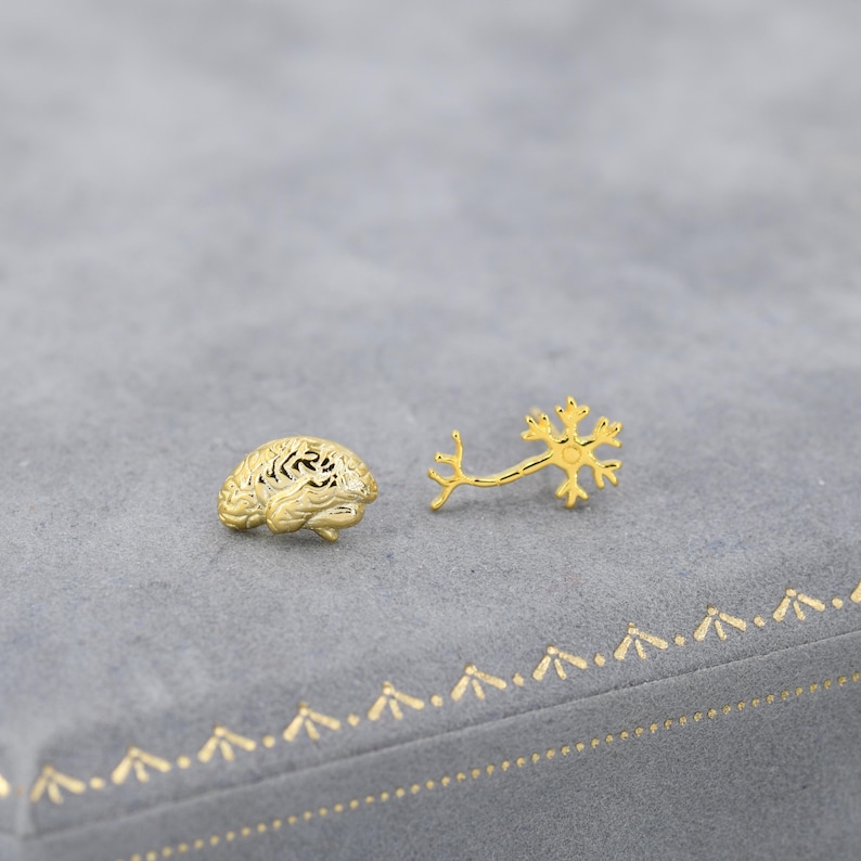 Mismatched Anatomical Brain and Neurone Stud Earrings in Sterling ...