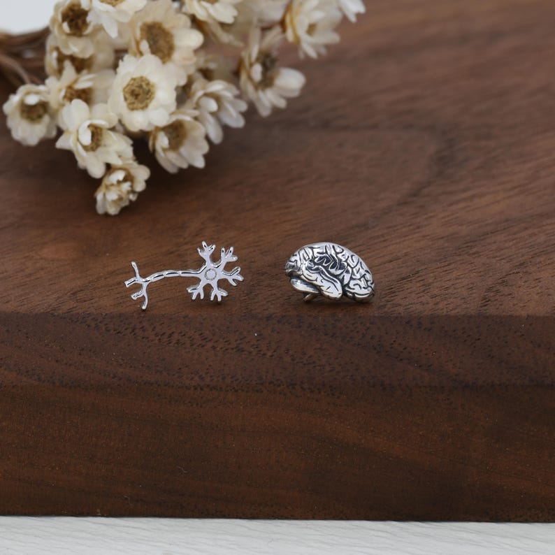 Mismatched Anatomical Brain and Neurone Stud Earrings in Sterling ...