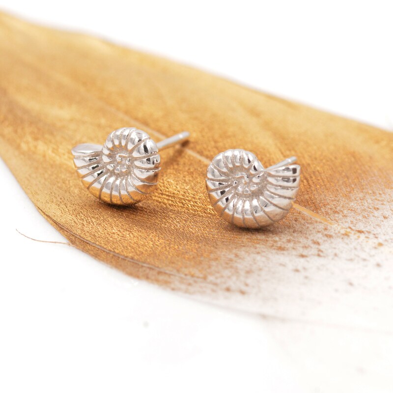 Shell Stud Earrings - Etsy