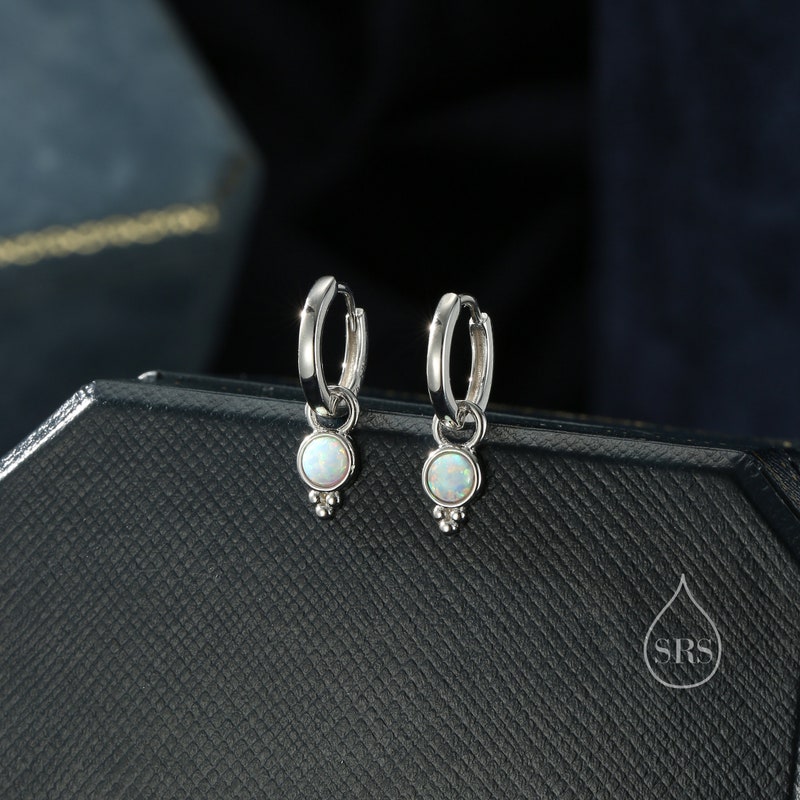 Charm Hoop Earrings - Etsy