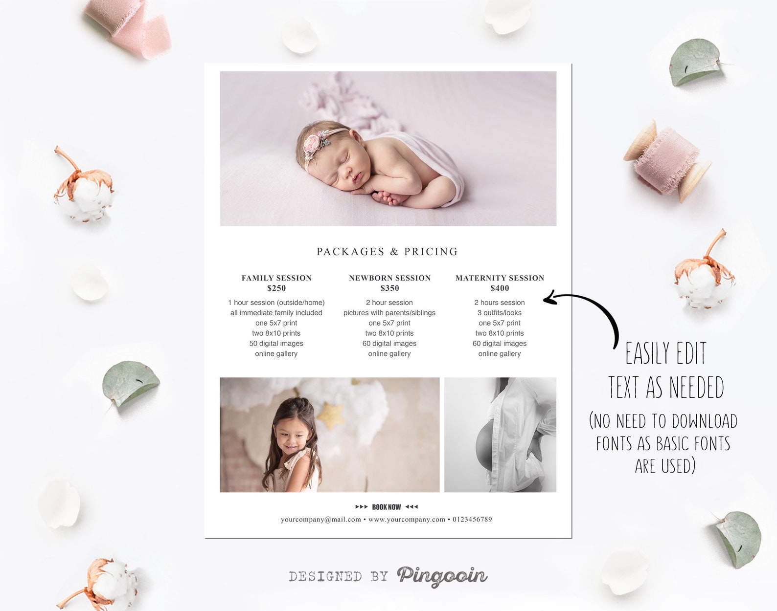 Mini Session Price List Template. Photography Pricing Guide. | Etsy