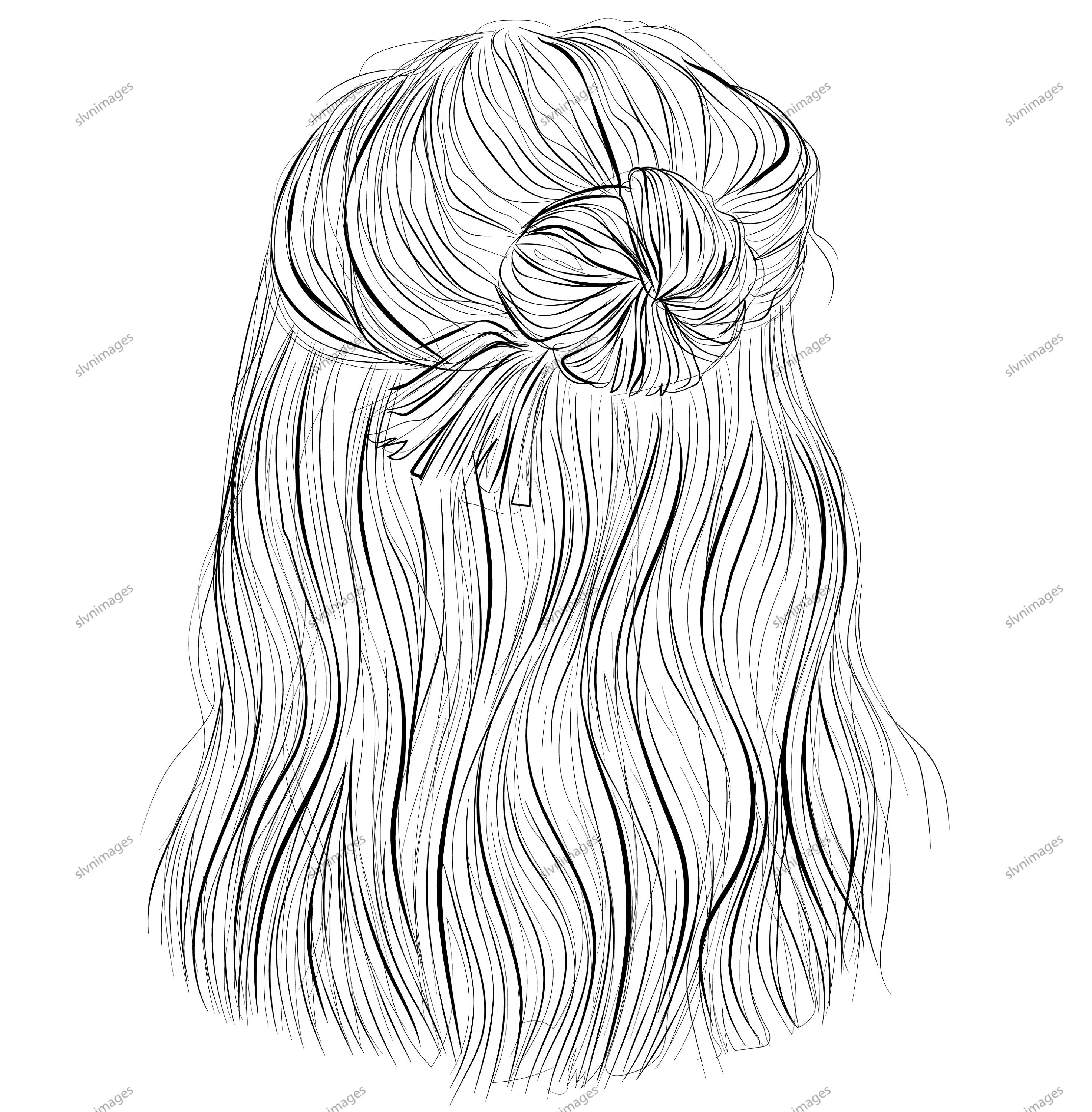 Hair From The Back Drawing