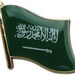 Saudi Arabia Plain Flag Lapel Pin - Etsy