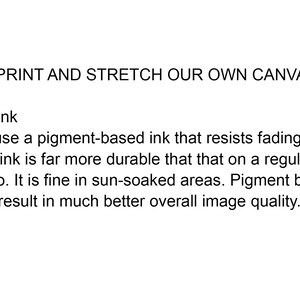 A Nose for a Rose / Chipmunk With Rose Flower Photography - Etsy