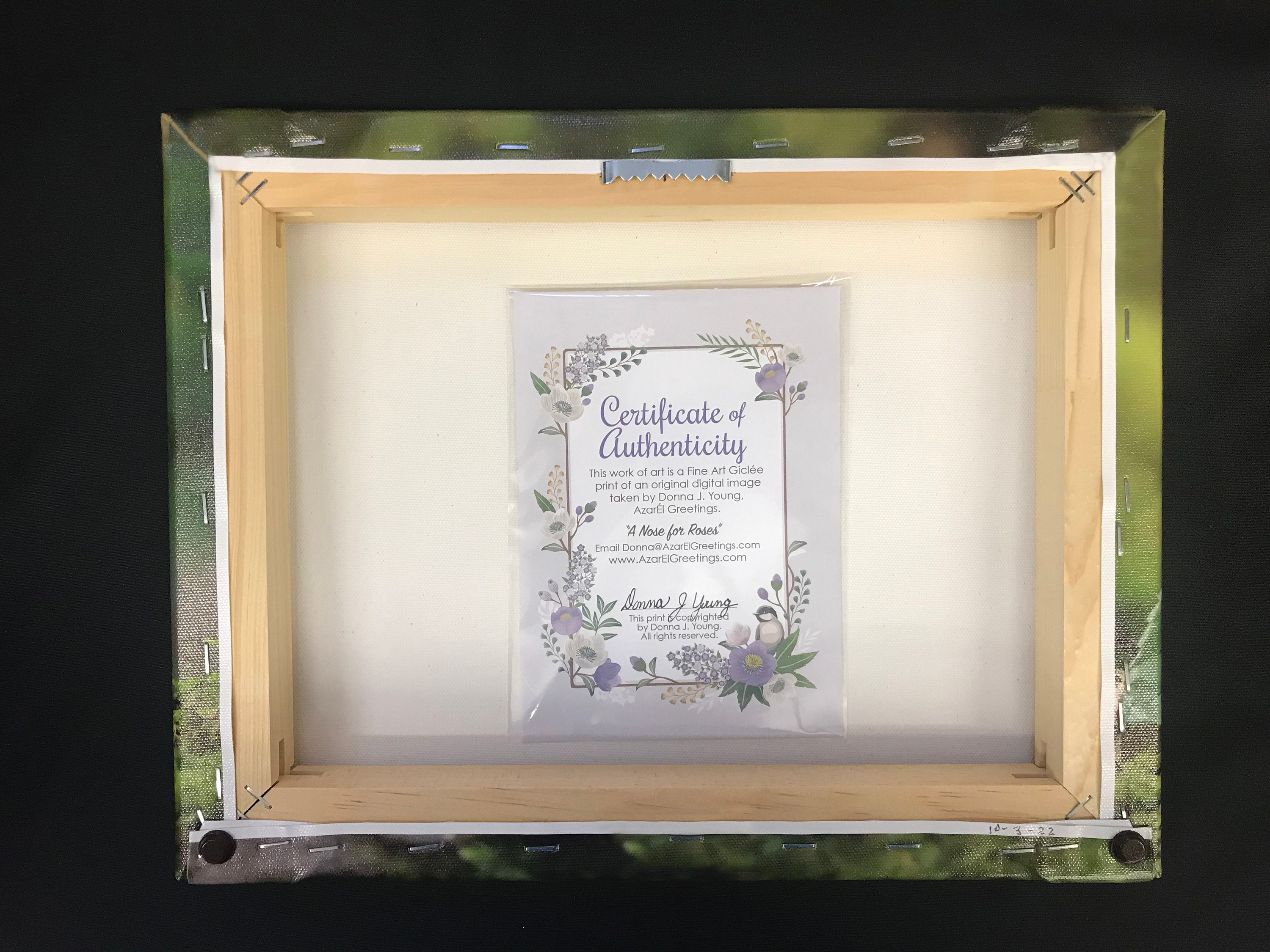 A Nose for a Rose / Chipmunk With Rose Flower Photography - Etsy