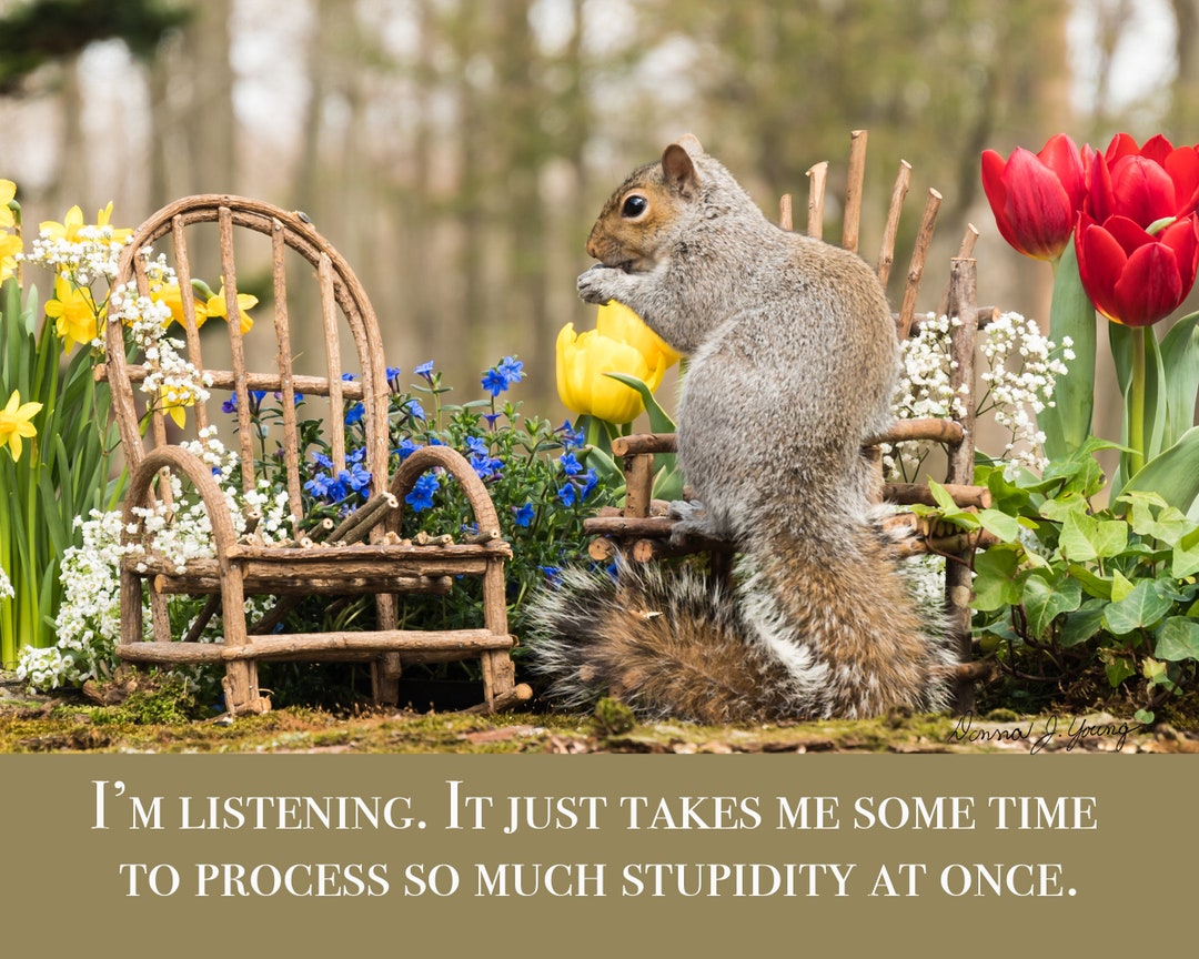 Funny Squirrel Humor Quote / Photo: 8x10 or 11x14 / I'm Listening ...