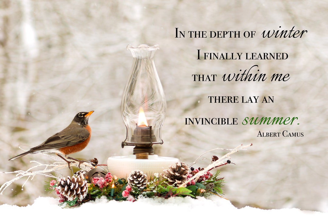 White Lamp in Winter With Robin / Bird / an Invincible Summer / Albert ...