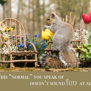 Funny Squirrel Humor Quote / Photo: 8x10 or 11x14 / This Normal You ...